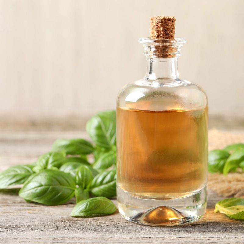 Olio al basilico: la ricetta classica, fresca e aromatica
